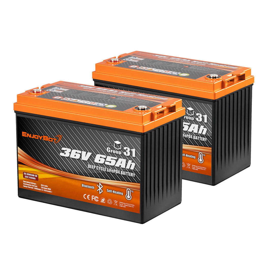 Enjoybot 72V 65Ah LiFePO4 Lithium Golf Cart Battery Set - 2 Batteries ...