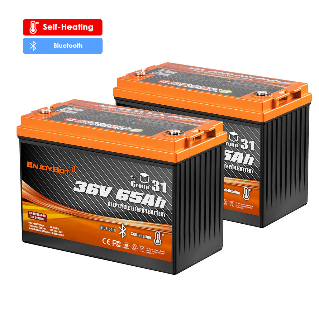 Enjoybot 72V 65Ah LiFePO4 Lithium Golf Cart Battery Set - 2 Batteries ...